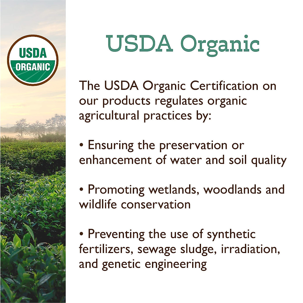 Organic Positively Tea Company, Blackberry Black Tea, Loose Leaf, 16 Ounce