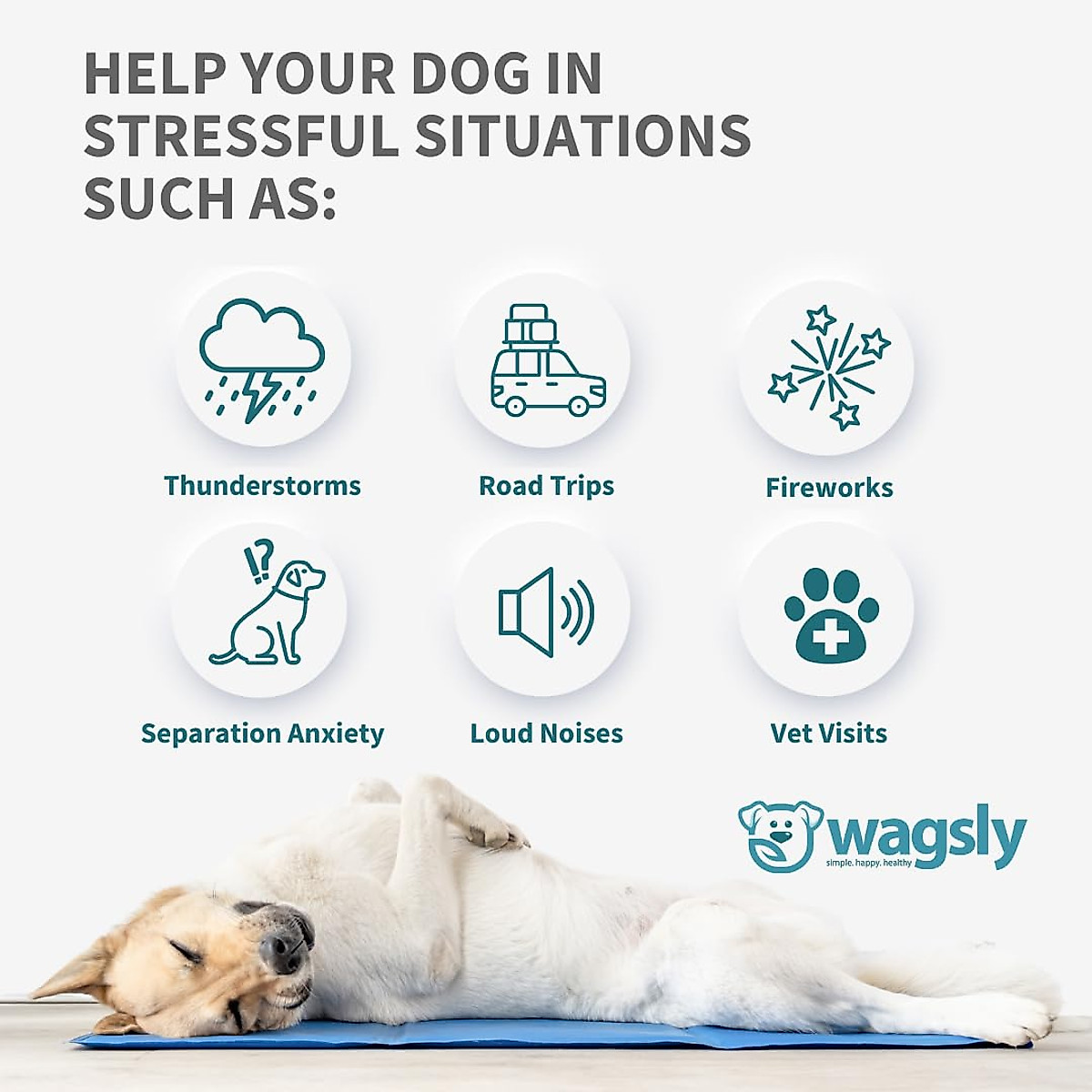 Wagsly Chill: Calming Chews for Dogs | Thiamine, Tryptophan, Lemon Balm, Green Tea Extract – 100 Count for Balanced Mood & Relaxation | Natural Calming Treats for Dogs