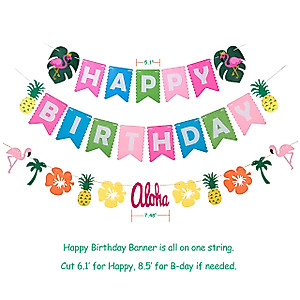 LOVENJOY Hawaiian Luau Birthday Party Decoration Kit, Pre-Strung Banners, Large