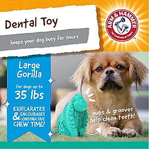 Arm & Hammer for Pets Dental Chew Toy and Dentral Treats for Dogs | Bundle Includes 1 Gorilla Chew Toy and 20 Pc Chicken Flavor Nubbies Dog Treats | Reduce Plaque & Tartar | Safe for Dogs up to 35 Lbs