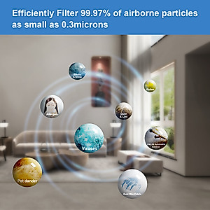 XBWW H13 True HEPA Replacement Filter Compatible with Tenergy Renair, Cool-Living CL-6070A, Beaba, Tredy TD-1300 HEPA Air Filter Purifer for Home Large Room