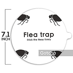 Gotcha! 12 Pack Flea Trap Refill Discs | Sticky Traps Glue Board Refills | Non-Toxic | 7.1 Inch | Eco-Friendly | Family and Pet Safe | Fits Ultimate Flea Trap Aspectek Qremove Victor