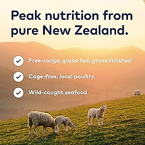 ZIWI Peak Air-Dried Dog Food – All Natural, High Protein, Grain Free and Limited Ingredient with Superfoods, Beef, 8.8 Pound (Pack of 1)