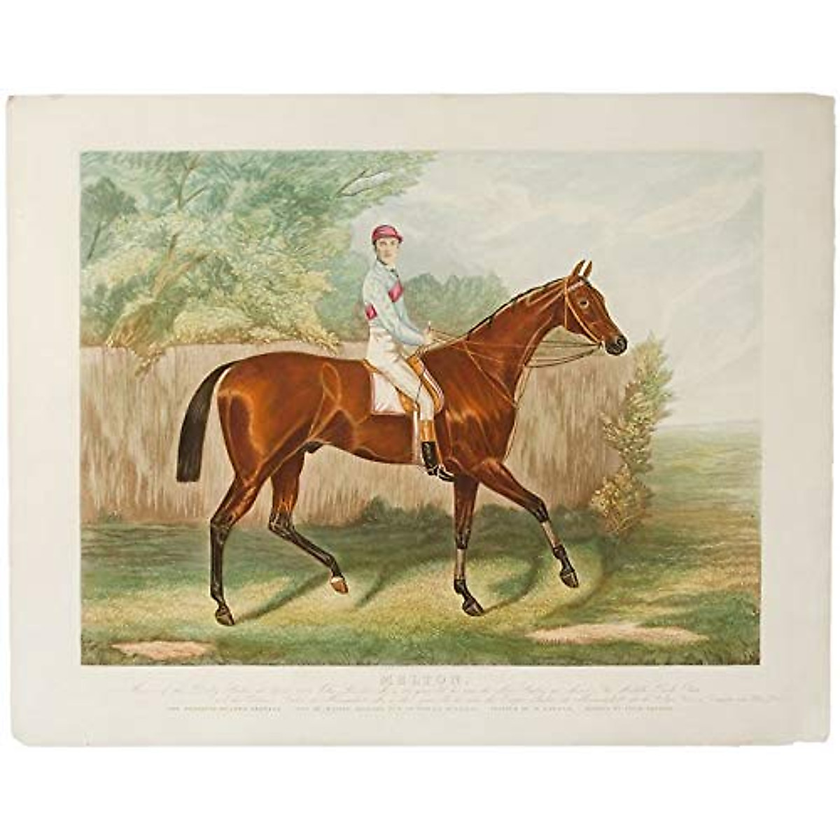 Melton. Winner of the Derby Stakes at Epsom 1885... As a two year old he won the New Stakes at Ascot, The Middle Park Plate and the Criterion Stakes at Newmarket. As a three year old he won the Payne Stakes at Newmarket, also the St. Leger Stakes at Donca