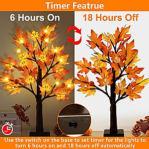 2 Pack Fall Decor 24 Inch Prelit Fall Maple Tree with 48 LEDs Timer Battery Operated, Fall Decoration Tabletop Acorn Pumpkin Maple Leaves Artificial Tree for Thanksgiving Harvest Indoor Decoration