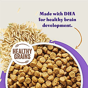 Halo Purely for Pets Holistic Dog Food, Complete Digestive Health Cage-Free Chicken and Brown Rice Recipe, Dry Dog Food Bag, Puppy Formula, 3.5-lb Bag