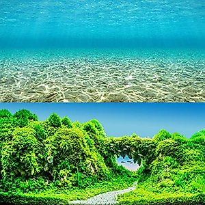 JUBMACH Premium Aquarium Background Poster | Underwater World Fish Tank Background Aquarium Background Decoration Terrarium Background Durable PVC Double Sides Undersea Backdrop Picture (24 x 71)