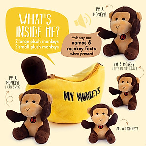 Talking Plush Monkeys Toy Set with Banana Carrier | Soft, Fluffy, and Great Gift for Babies and Toddlers