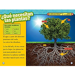 National Geographic Readers: De Semilla a Planta (L1) (Spanish Edition)