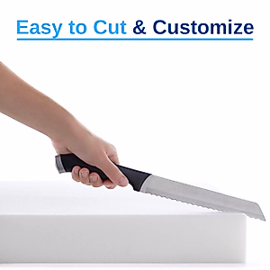 FoamRush 8-Inch Queen (60" x 80") High Density Foam RV Mattress Replacement, Extra Firm, Pressure Relief Support, Travel Camper Trailer Truck, Made in USA, CertiPUR-US Certified, Cover Not Included