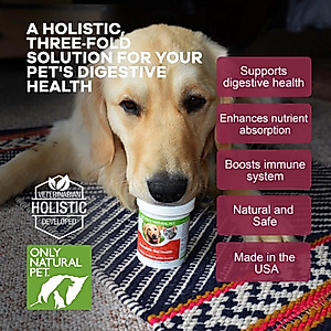 Only Natural Pet Complete Gut Health Complex - Probiotics & Digestive Enzyme Supplement for Dogs & Cats - Promotes Healthy Digestion, Immune System, Nutrient Absorption -3.5oz Powder (Pack of 2)