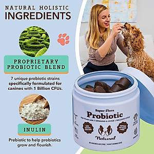 Natural Dog Company Hip & Joint and Probiotic Chews for Dogs Bundle: Glucosamine & Probiotics - Joint Support and Digestive Health Combo for Dogs of All Breeds and Sizes