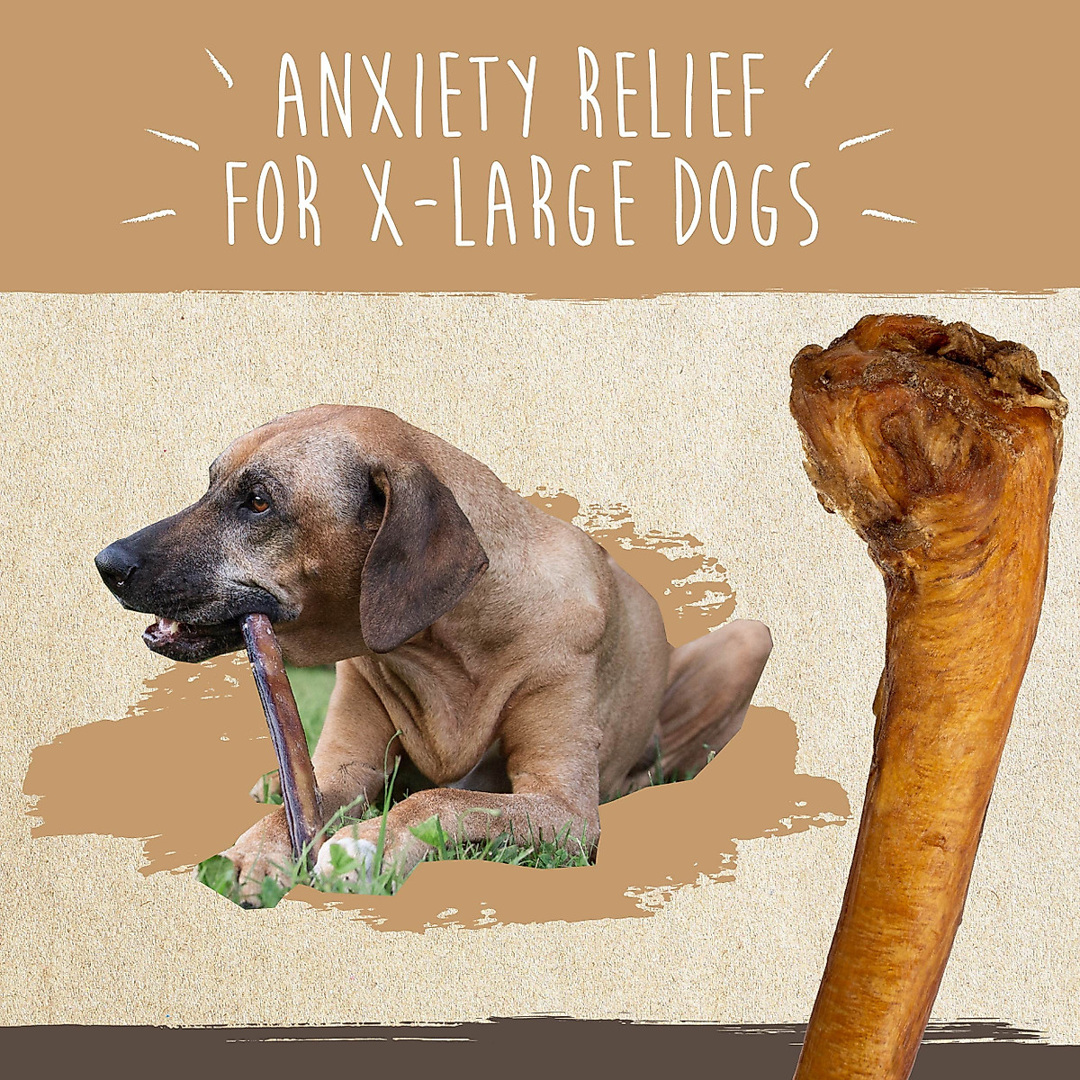 Mighty Paw Naturals Bully Sticks - All-Natural Protein-Rich Dog Chews from Grass-Fed Beef. Single-Ingredient Pet Treat for Dental Health. Keeps Chewers Busy - Bully Stick - Dental Chew Dog - Dog Stick