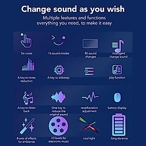 Handheld Voice Changer, Portable Multifunctional Voice Disguiser, Mini Sound Card with 8 Sound Effects Sound Changes, 450mAh Battery, Compatible with Mobile Phone, Computer, Tablet(I9 English Edition)