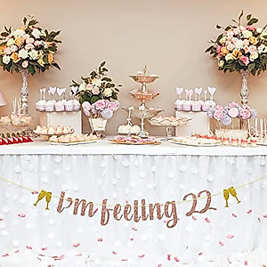 Rose Gold Glitter I'm Feeling 22 Banner, Happy 22nd Birthday Banner, 22nd Birthday Decorations, 22nd Birthday Party Supplies