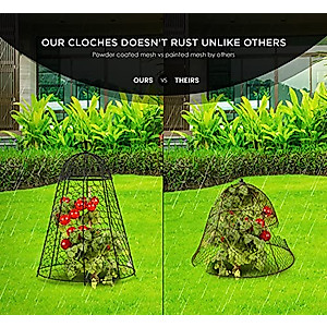 Garden Cloche Plant Protectors from Animals Chicken Wire Cloche Dome for Plants to Protect from Deer Rabbits in Outdoor Vegetable Garden with Thick Rustproof Large Cloches 12" Cage 20" High Set of 6