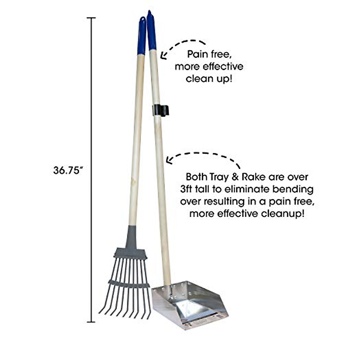 Spotty Wood Handle Pooper Scooper Durable Solid Metal Poop Tray with Rake 36.75" Long Handled Scoop | Great for Large or Small Dogs | No Assembly Required | Better for The Environment Than Plastic