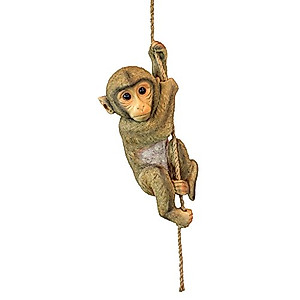 Design Toscano QM2673300 Chico The Chimpanzee Baby Monkey Hanging Animal Statue, 16 Inches High, Handcast Polyresin, Full Color Finish