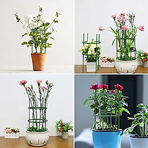 Plant Support Cages 15.7 Inches Garden Plant Support Ring Plant Stake Plant Support Tomato Cage, Perfect for Small Plants, Vegetables, Flowers, Plant Trellis for Potted Plants 2 Pack