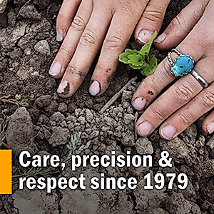 Herb Pharm Certified Organic Turmeric Root Extract for Musculoskeletal System Support - 1 Ounce (DTURM01)