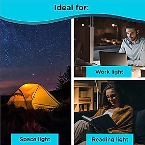 BLACK+DECKER Snake Light, Use for Book Light, Desk Light, and Work Light, 2 Settings, Flexible and Rechargeable (BDCFSL01)