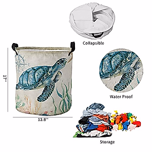 Marine Animals Freestanding Laundry Basket with Handles, Collapsible Waterproof Large Laundry Hamper for Baby Nursery Kids Room Dorm Storage, Ocean Theme Sea Turtle Starfish
