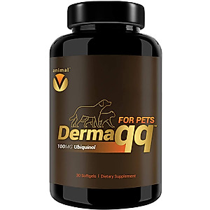 animal V, Inc Dermaqq HIGH Absorption Ubiquinol (QH) - CoQ10 for Dog and Cat Hot Spots, Hair Loss, Dermatitis Support for Relief of Itchy, Dry and Irritated Skin