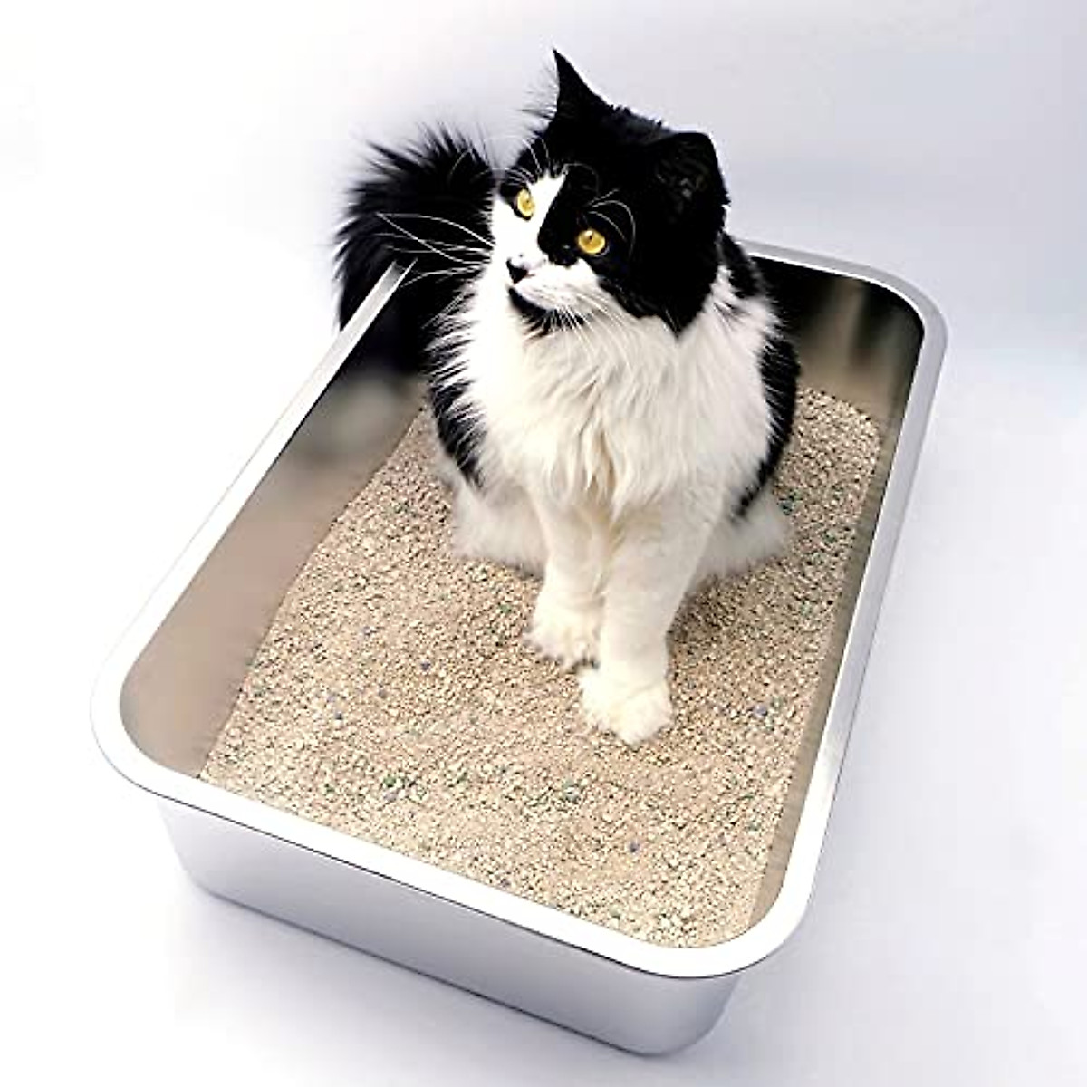 Midlee Stainless Steel Cat Litter Box- XL Size- 23.5" x 15.5" x 5.75"