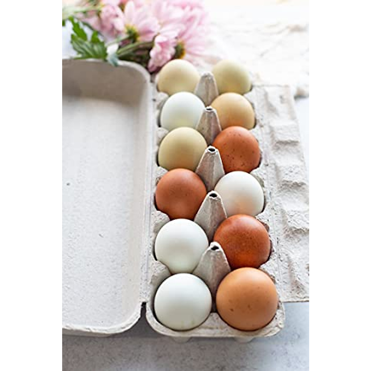 Blank 12-Egg Flat Top Paper Pulp Carton - Bulk Egg Cartons (50)