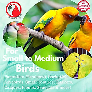 Bonka Bird Toys 2308 Trap Sandwich Small Medium Bird Toy Bamboo Woven Finger Forage Treat Traps Cardboard Wood Chew Cockatiels Parakeets Conures and Other Similar Birds.