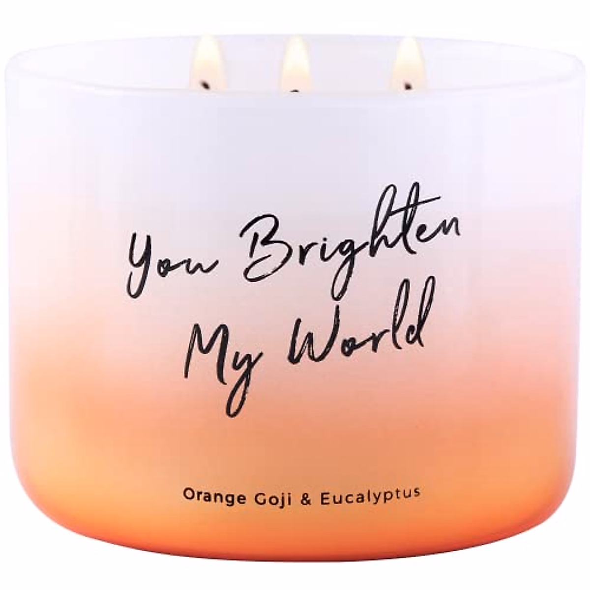Orange Goji Eucalyptus Scented Candle 3 Wick | Aromatherapy Stress Relief Eucalyptus Energy Candle | Highly Scented Soy Candles Clean Burn 15.8 oz | You Brighten My World Candle Gifts for Men & Women