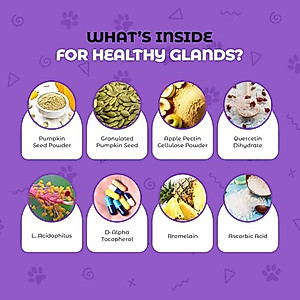 Anal Gland Chews for Dogs, Promotes Gut and Digestive Health, Scoot Stop Supplements, Prevents Infection, Fiber for All Dogs with Pumpkin, Apple Pectin, Bromelain, Duck Flavor, 120 Soft Chews