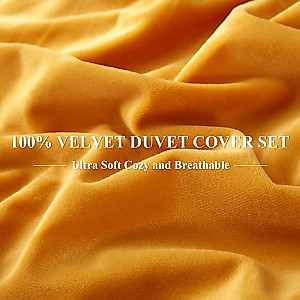 Ivellow Velvet Duvet Cover Queen Set Gold Velvet Duvet Cover Queen Velvet Comforter Cover 3Pcs Ultra Soft Duvet Cover Breathable Solid Luxury Flannel Velour Duvet Cover Zipper Closure Corner Tie
