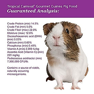 F.M. Brown's Tropical Carnival Gourmet Guinea Pig Food with Alfalfa and Timothy Hay Pellets - Vitamin-Nutrient Fortified Daily Diet - 5lb