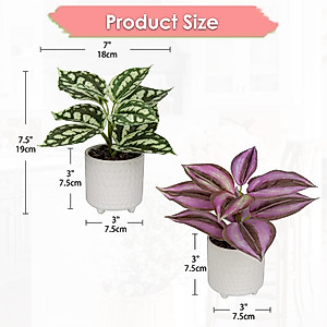 DILATATA 2 Packs Small Fake Plants for Decor Artificial Plants in Ceramic Pot 7.5" Faux Potted Plants Eucalyptus for Home Decor Table Centerpiece Living Room