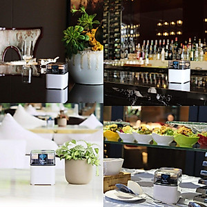 Serve Clean Smart Toothpick Dispenser, Chrome