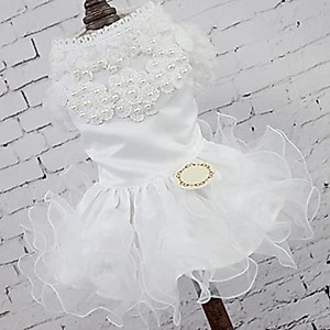 Pet Wedding Dress Round Neck Good Teddy Dog Lace Style Wedding Dress Pet Apparel Blue XL