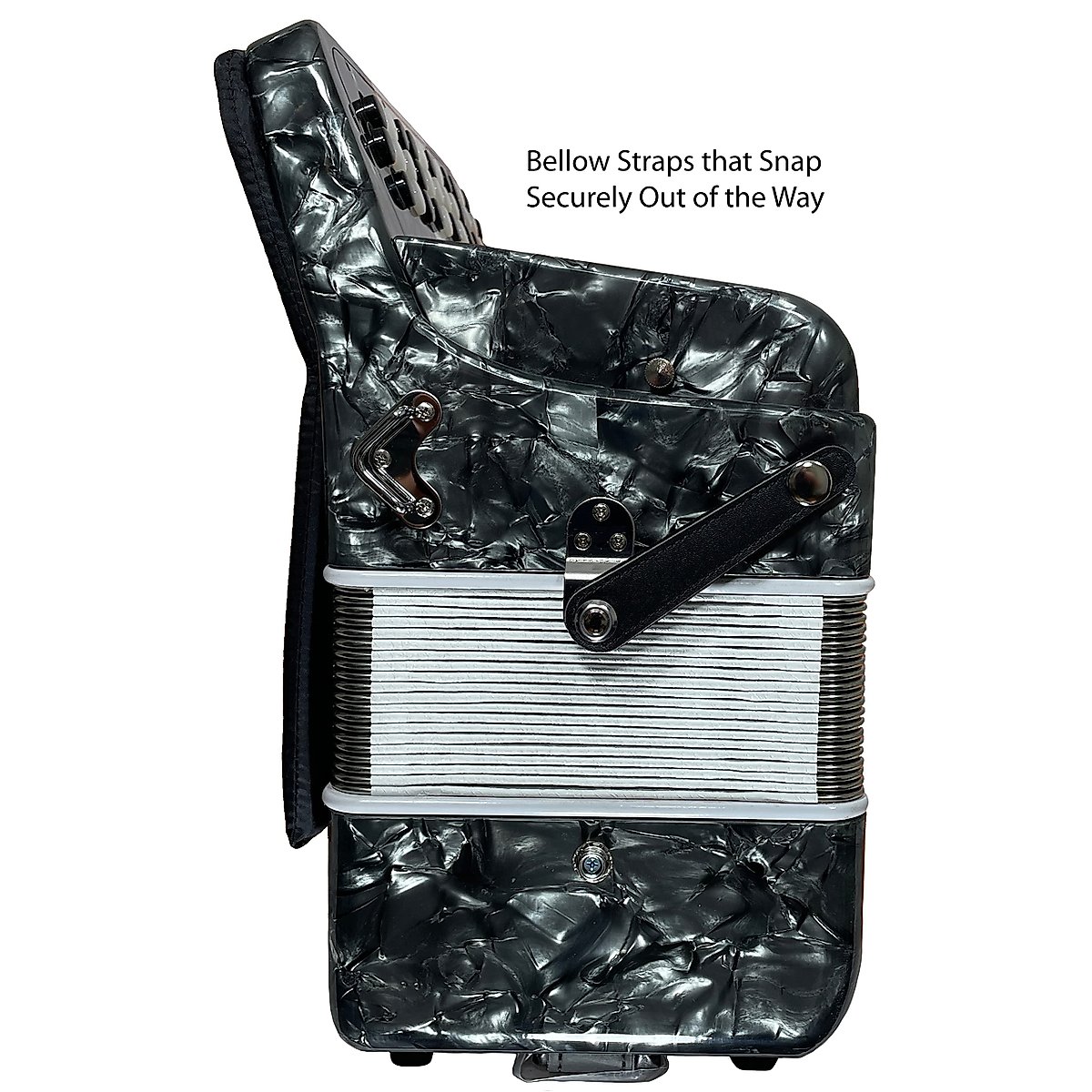 SofiaMari NSM3412 Accordion Package: 34 Button, 12 Bass, 3 Switch Accordion with Case and Straps (Sol/GCF Deep Blue Pearl) (NSM-3412-DBP-SOL)