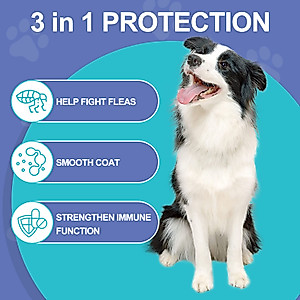 Advanllent Flea & Tick Prevention Supplement - Natural & Functional Flea Treatment for Dogs Soft Chew - Help with Dog Flea and Tick Treatment, Coat Smooth, Immune Health - 90 Count Flea Chewables