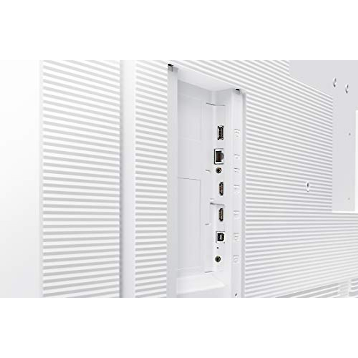 Samsung Flip 2 WM65R 65 Inch Digital Flipchart for Business 4K UHD 3840x2160 with Touch Screen, Wi-Fi, HDMI, USB (LH65WMRWBGCXZA)