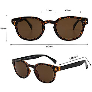 VITENZI Sunglasses for Men and Women Trendy and Cool Sun Glasses, Retro Vintage Round Shades Lucca in Tortoise