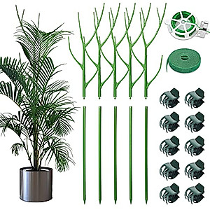 ROADPLUM 5 Pack 27.56" Detachable Twig Plant Support Stakes Set, Blends in to Plant, Branch Plant Sticks with Orchid Clips Twist Plant Ties, Twig Trellis for Indoor Outdoor Plants Potted Plants Flower