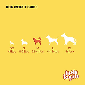 Little Loyals Himalayan Recipe Cheese Dog Chews - 100% Natural, Long-Lasting Treats for Aggressive Chewers, Puppies & Bored Dogs | Odorless, Protein-Rich, Gluten & Lactose-Free | Medium