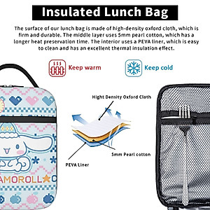 koiidisa Large Capacity Lunch Box Insulated Lunch Bag for Women Reusable Lunchbox
