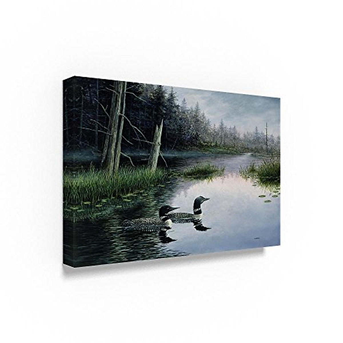 Trademark Fine Art ALI21238-C1219GG Misty Morn