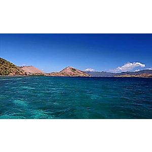 Ocean and Underwater DVD - Under And Above The Pacific Ocean - Fly Over Tropical Paradise - Row over Coral Reefs and Dive With The Turtles