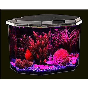 Koller Products 6.5-Gallon Aquarium Kit with Power Filter and LED Lighting, (AP650)