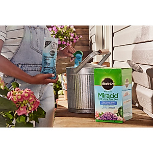 Miracle-Gro Water Soluble Miracid Acid-Loving Plant Food