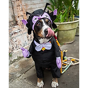 Pet Krewe The Count Vampire Dog Costume & Cat Costume Medium Size | Sesame Street Dracula Monster Pet Costumes for Dogs and Cats | Perfect for Halloween, Birthdays, Parties, Photoshoots