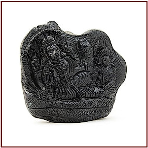 Vedic Vaani The Rarest Sculpture Laksmi Narayana Sacred Blessings Shaligram (Pack of 3)